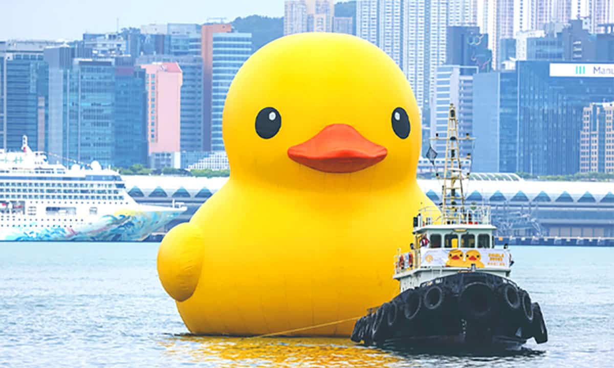 Why Do People Hide Rubber Ducks On Cruise Ships?