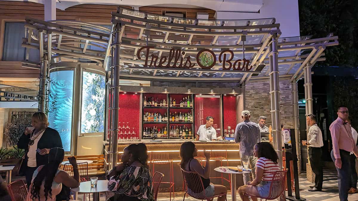 Central Park On Wonder Of The Seas: Everything You Need To Know